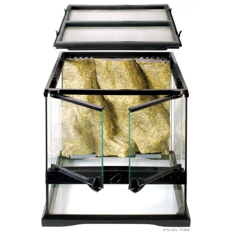 Exo Terra Mini Wide Glass Terrarium | REPTILE FACTORY SOCAL